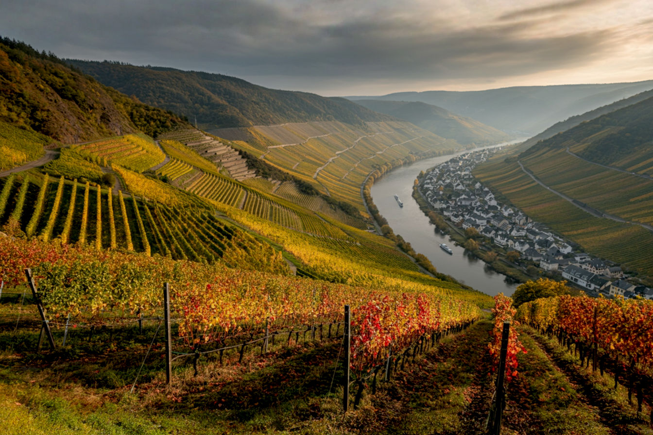 Ahr Wine Region: Germany’s Secret Pinot Paradise - MaxiWines